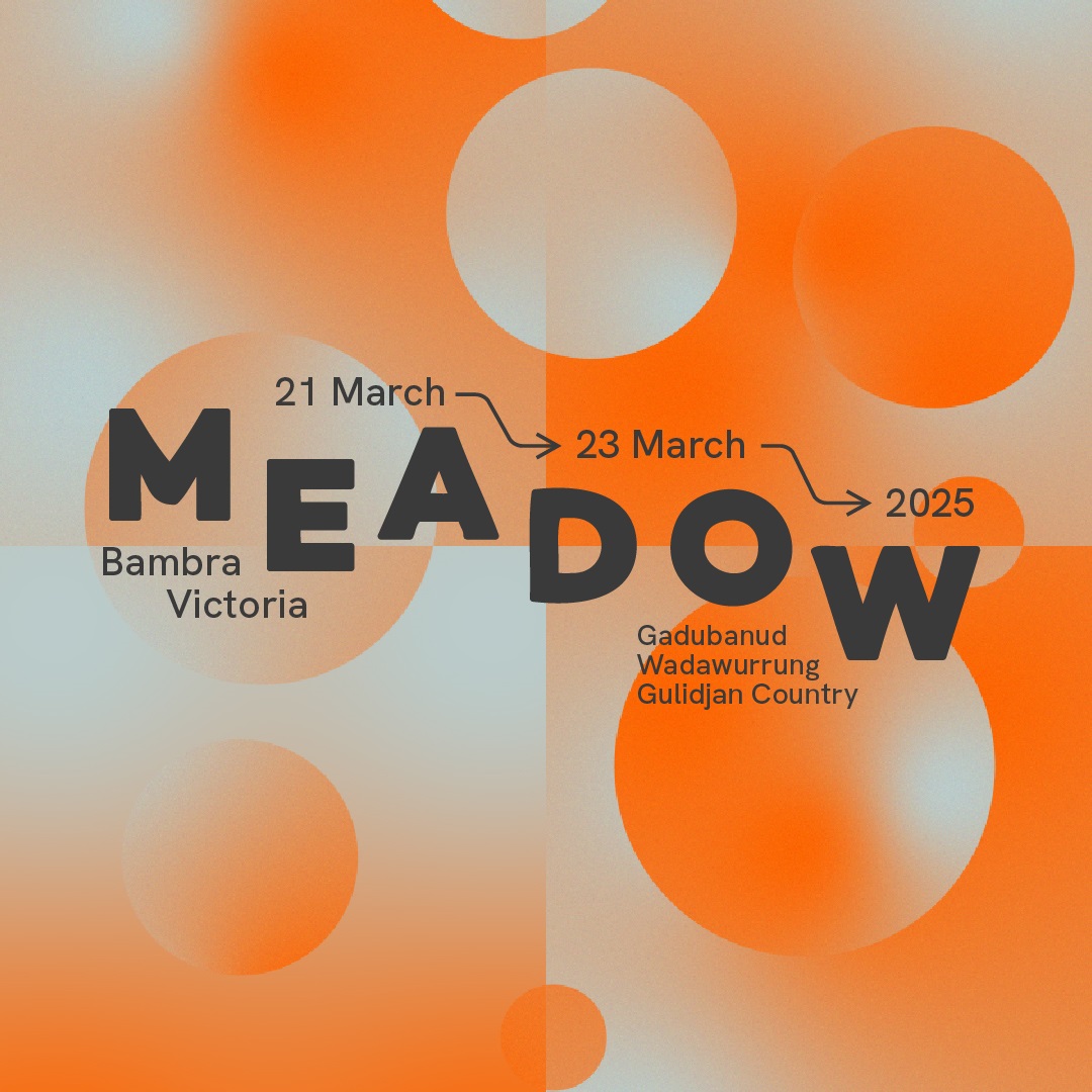 Meadow 10 returns for 2025 - final festival at the Bambra Bowl | The Partae